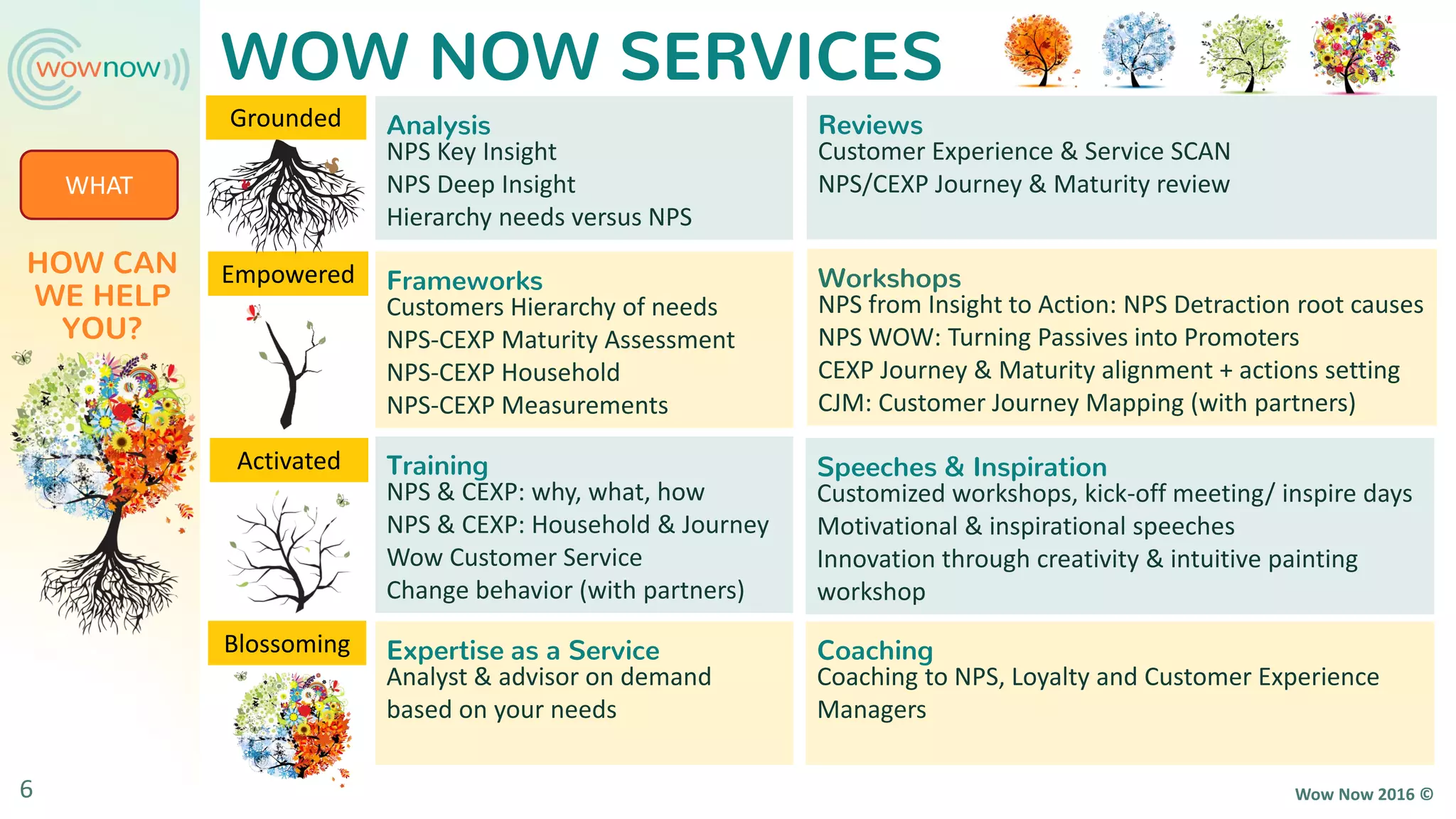 Wow Now overview: why, what & how | PDF