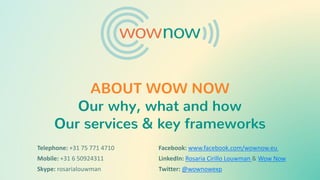 Wow Now overview: why, what & how | PDF
