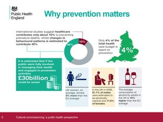 A Public Health Perspective | PDF