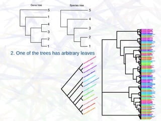 Comparing phylogenetic trees - 2016.06.16 | PDF | Biological Sciences ...