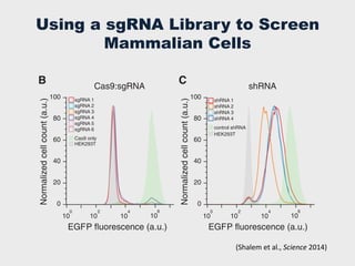 Genome Editing CRISPR-Cas9 | PDF