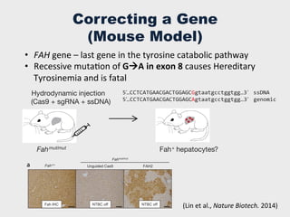 Genome Editing CRISPR-Cas9 | PDF
