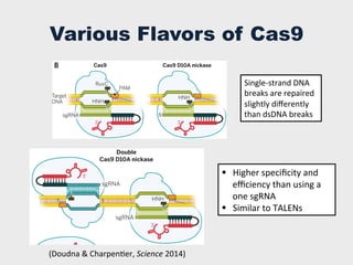 Genome Editing CRISPR-Cas9 | PDF
