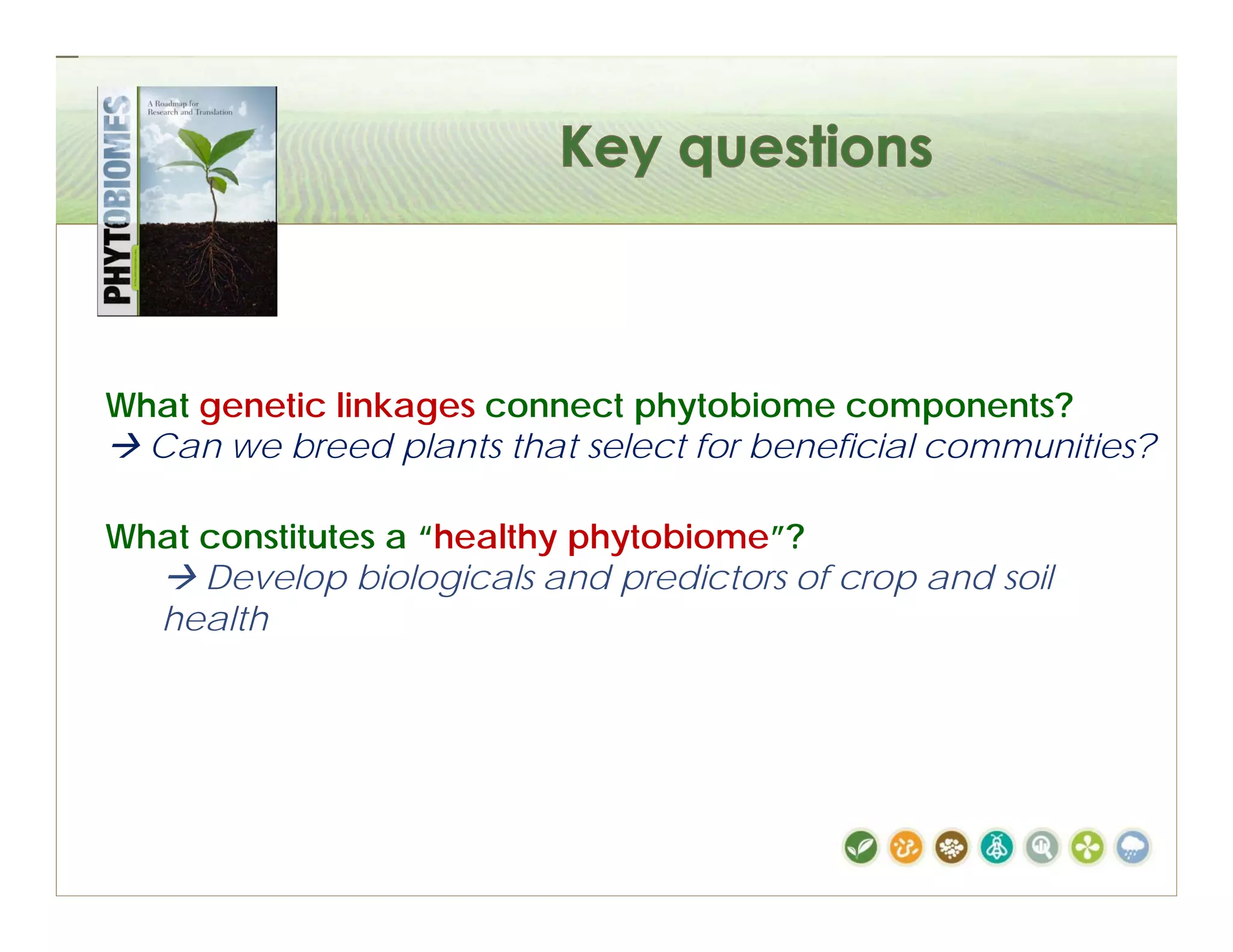 Exploring Phytobiome System: From Microbiomes To Next Generation ...