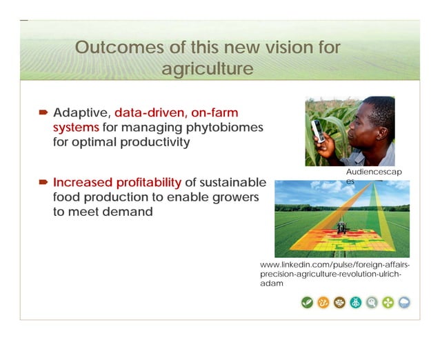 Exploring Phytobiome System: From Microbiomes To Next Generation ...