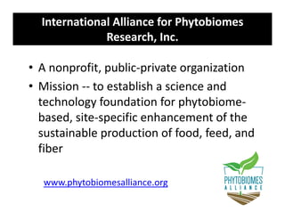 Exploring Phytobiome System: From Microbiomes To Next Generation ...