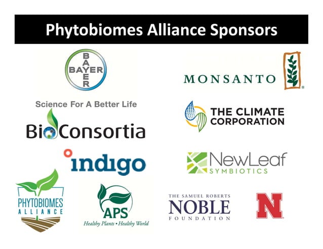 Exploring Phytobiome System: From Microbiomes To Next Generation ...
