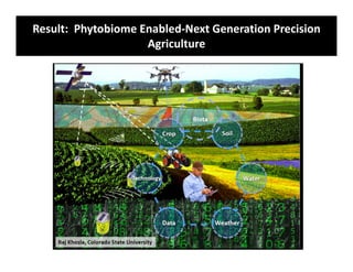 Exploring Phytobiome System: From Microbiomes To Next Generation ...