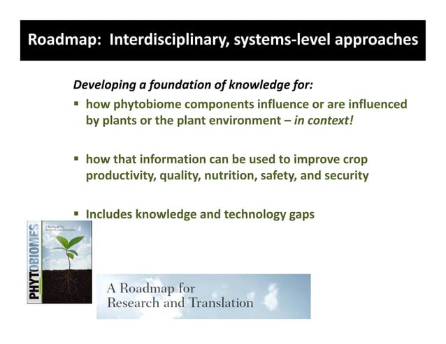 Exploring Phytobiome System: From Microbiomes To Next Generation ...