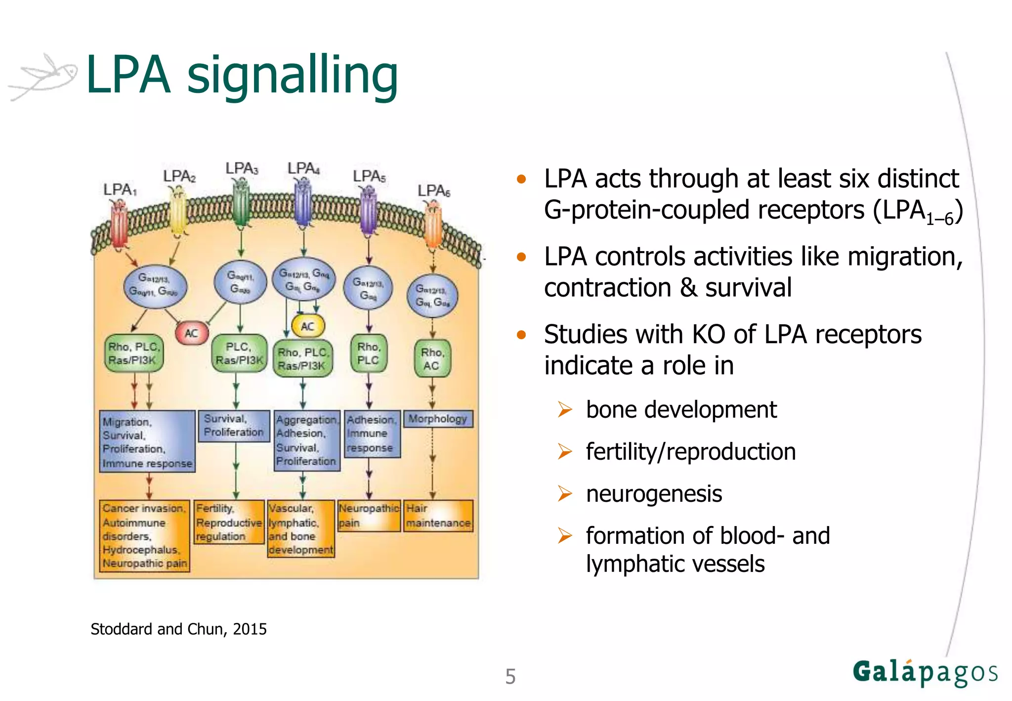 Strong reversal of the lung fibrosis disease signature by autotaxin ...