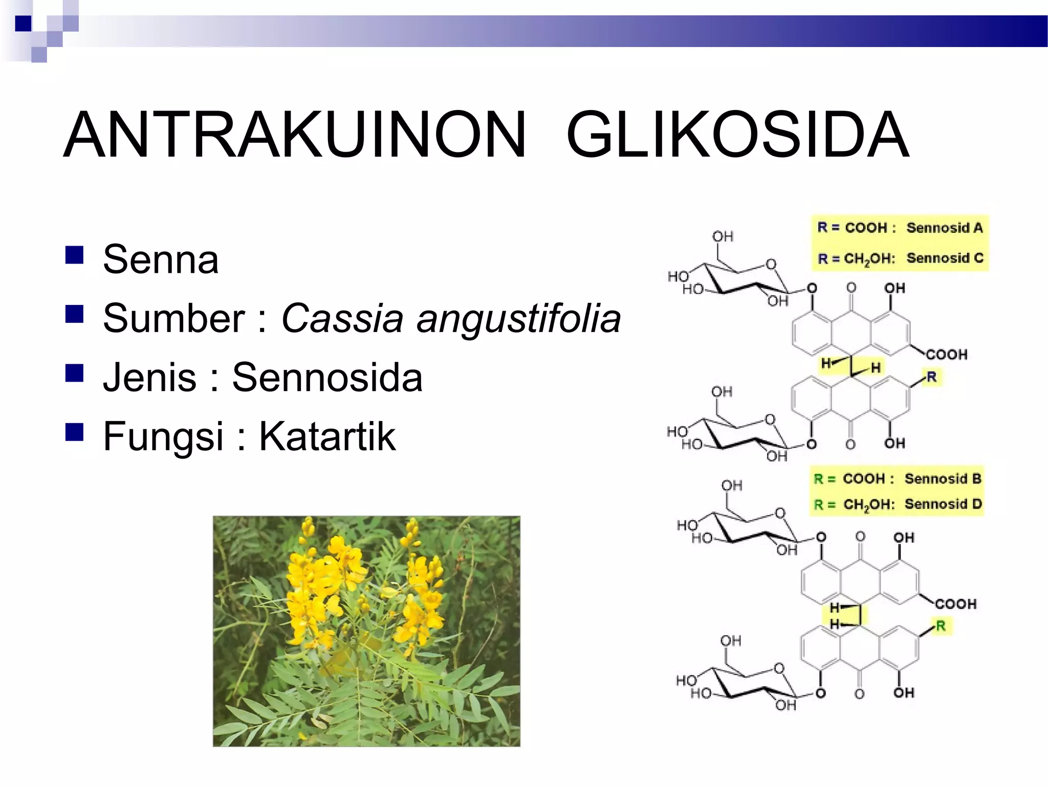 glikosida | PPT