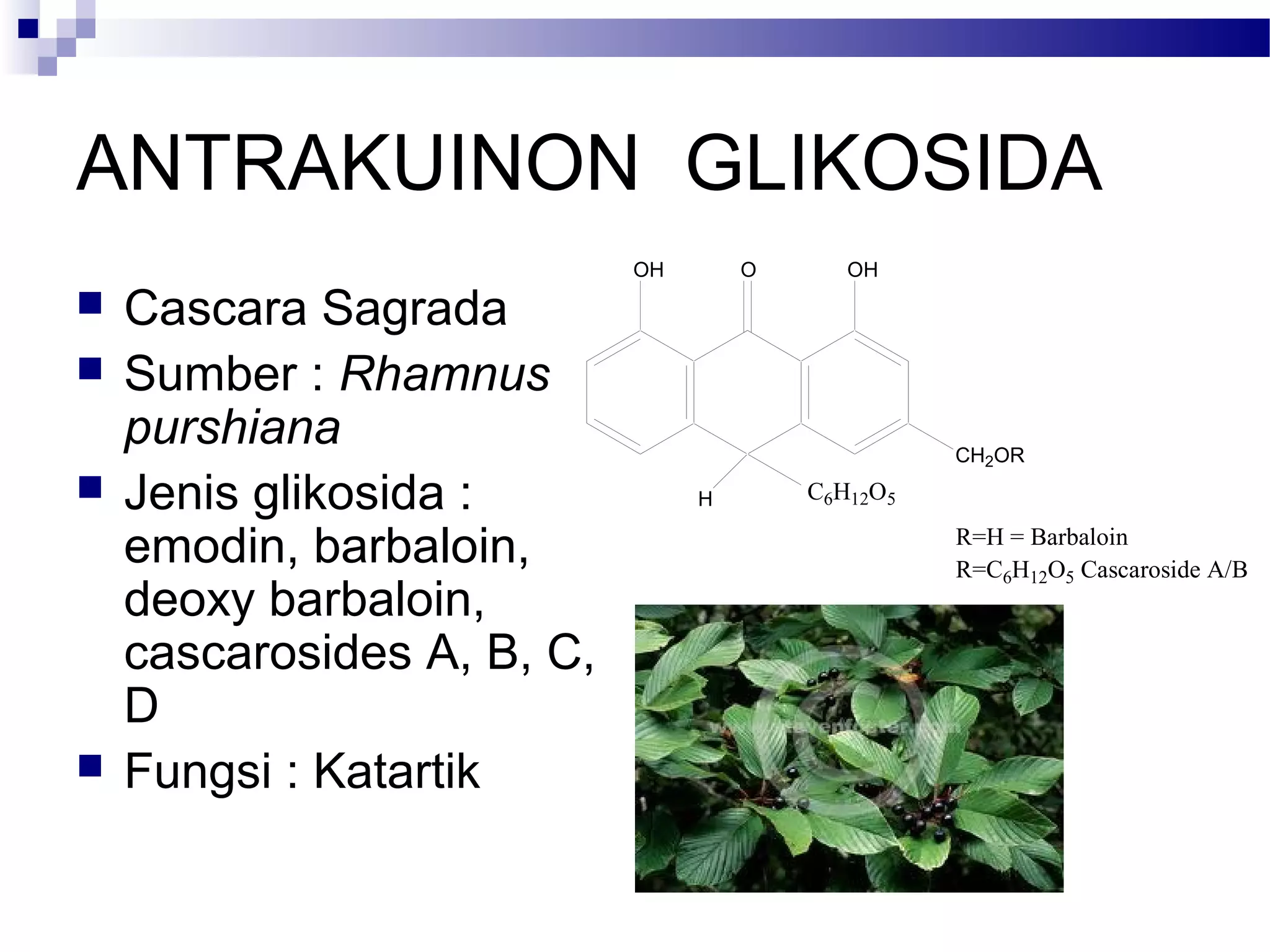 glikosida | PPT