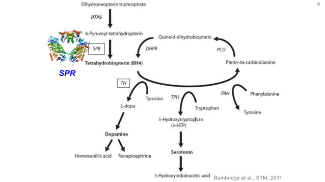 Citizen Science and Rare Disease Research | PPT