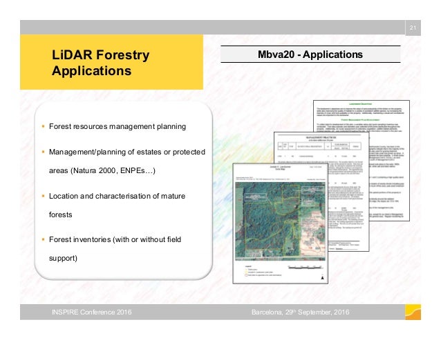 Forestry Applications Using Lidar