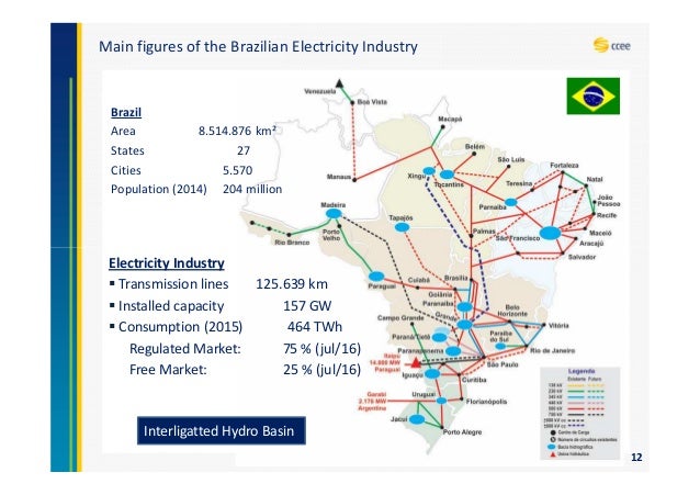Overview of the Brazilian Electricity Industry