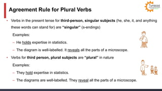 Subject Verb Agreement Rules | PPTX