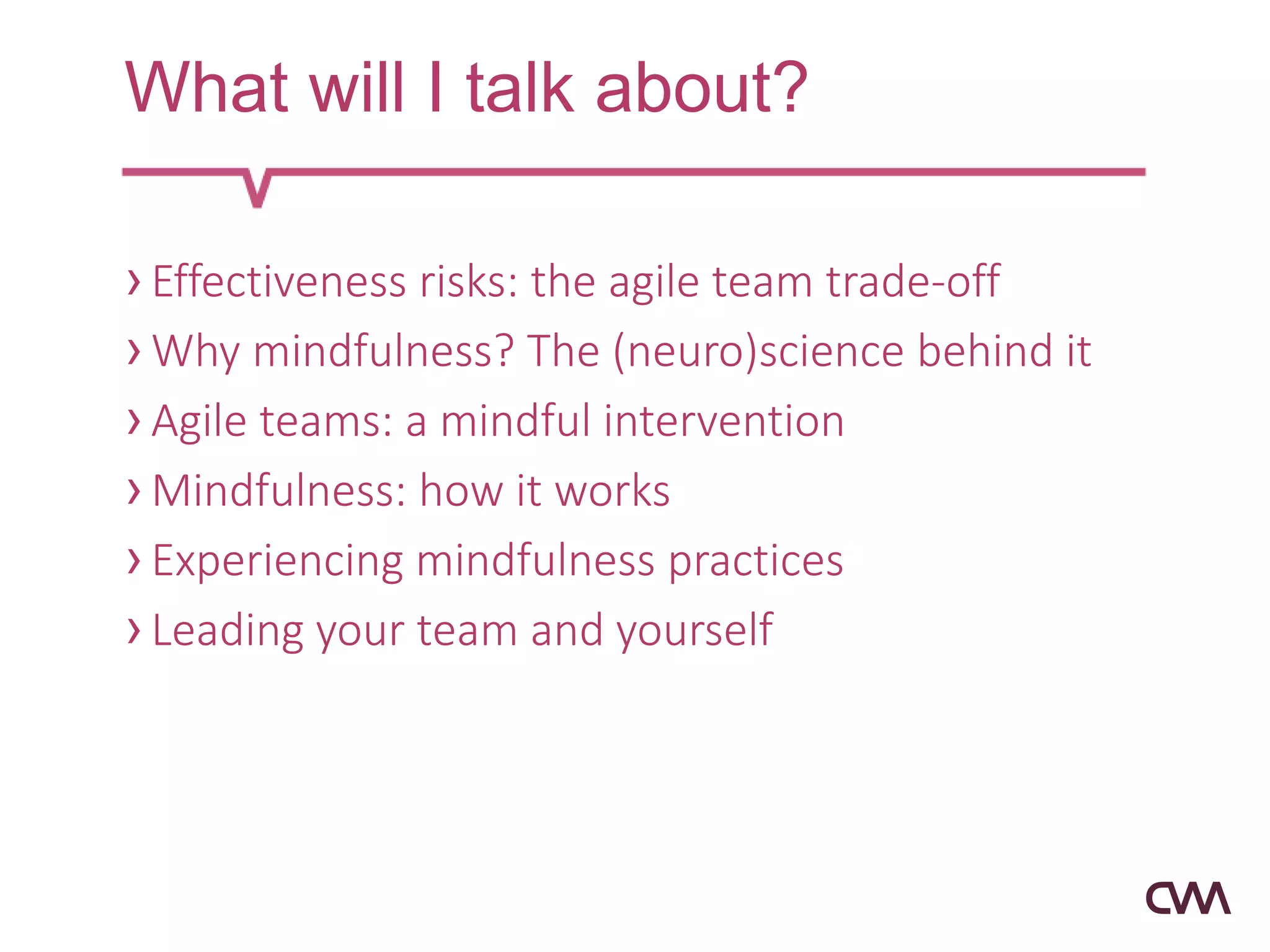 Wibo Koole -New approaches for effective teamwork mindful leadership