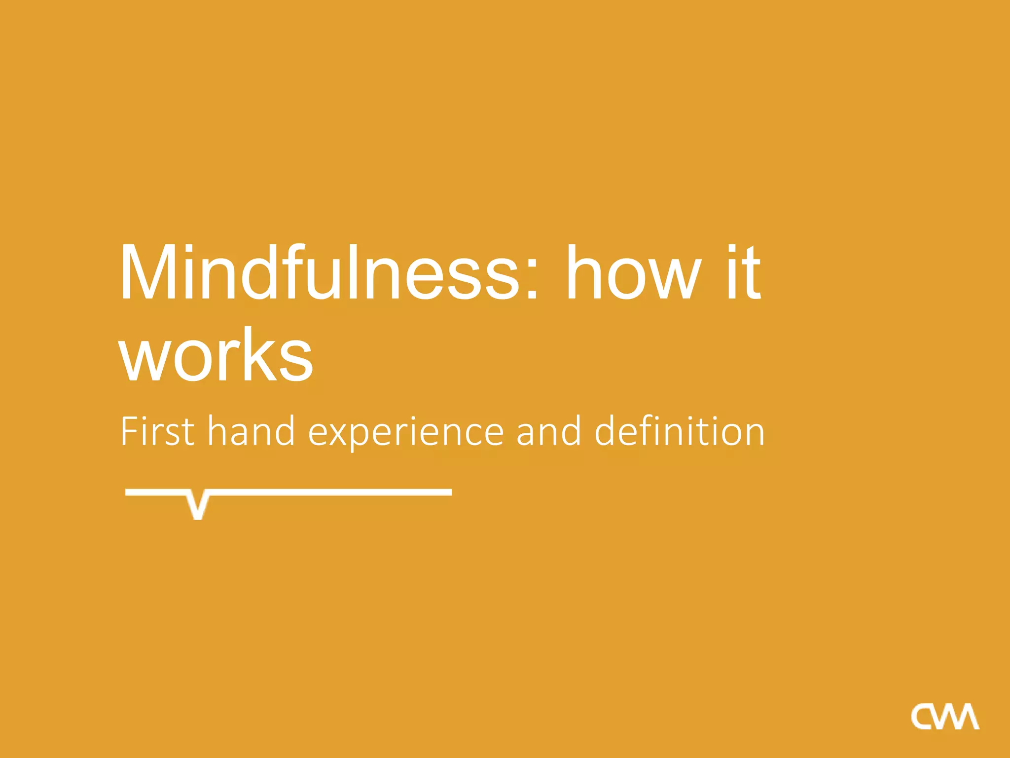 Wibo Koole -New approaches for effective teamwork mindful leadership