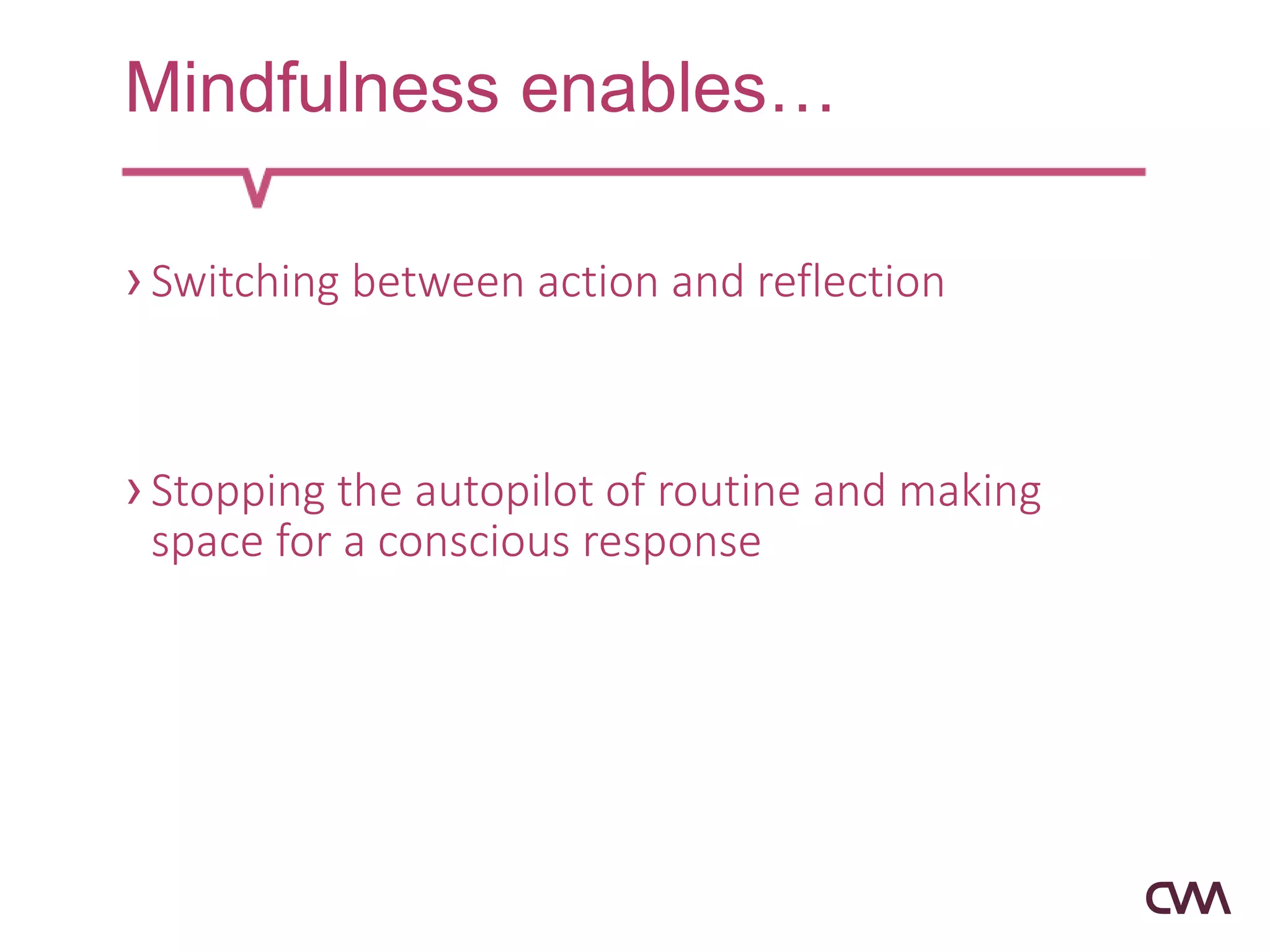 Wibo Koole -New approaches for effective teamwork mindful leadership