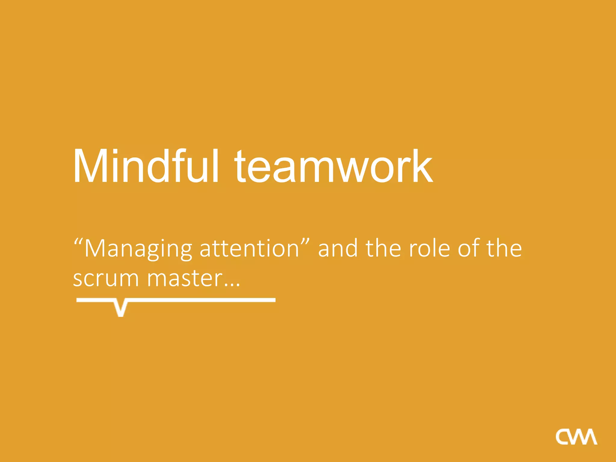 Wibo Koole -New approaches for effective teamwork mindful leadership