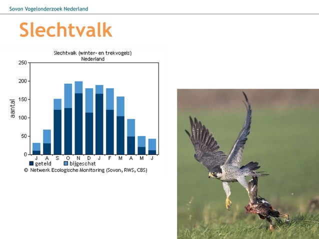 Monitoring verstoring tijdens hw-telling | PPT
