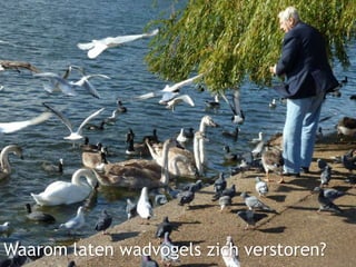 Monitoring verstoring tijdens hw-telling | PPT