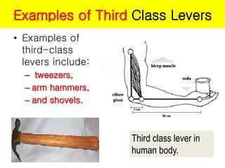 2016_1100_BASIC MACHINES = intro-Lever-screw -wedge-MA (1).ppt
