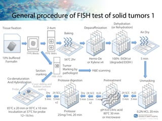 Practical Issues of FISH in Solid Tumors | PPT
