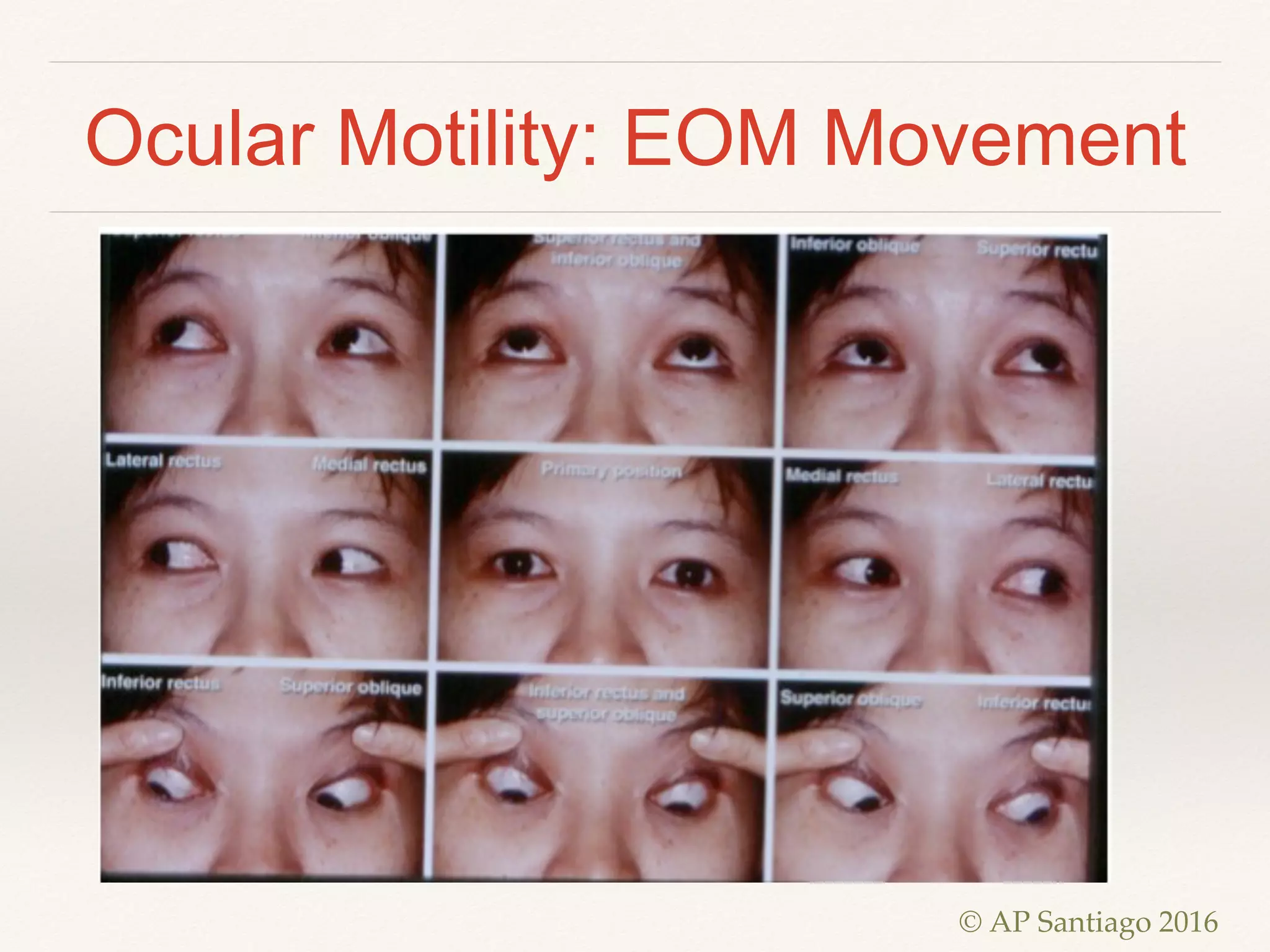 2016 asmph strabismus & amblyopia | PDF