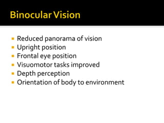 2016 I. Binocular Vision & Retinal Correspondence; II Amblyopia | PDF