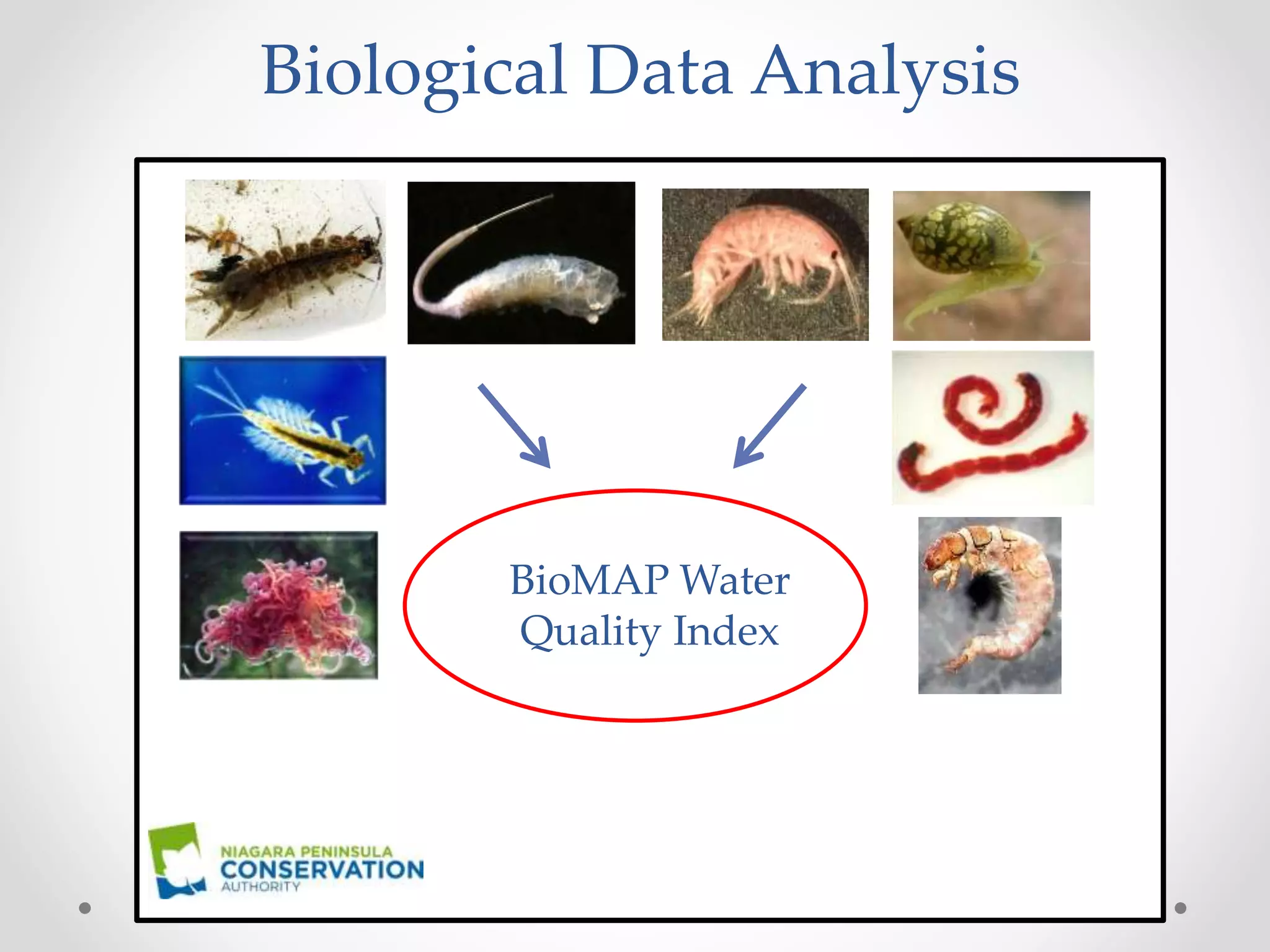 Biodiversity Offsetting - Water Quality | PPT