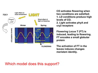 2016 Class Slides Floral Transition | PPT