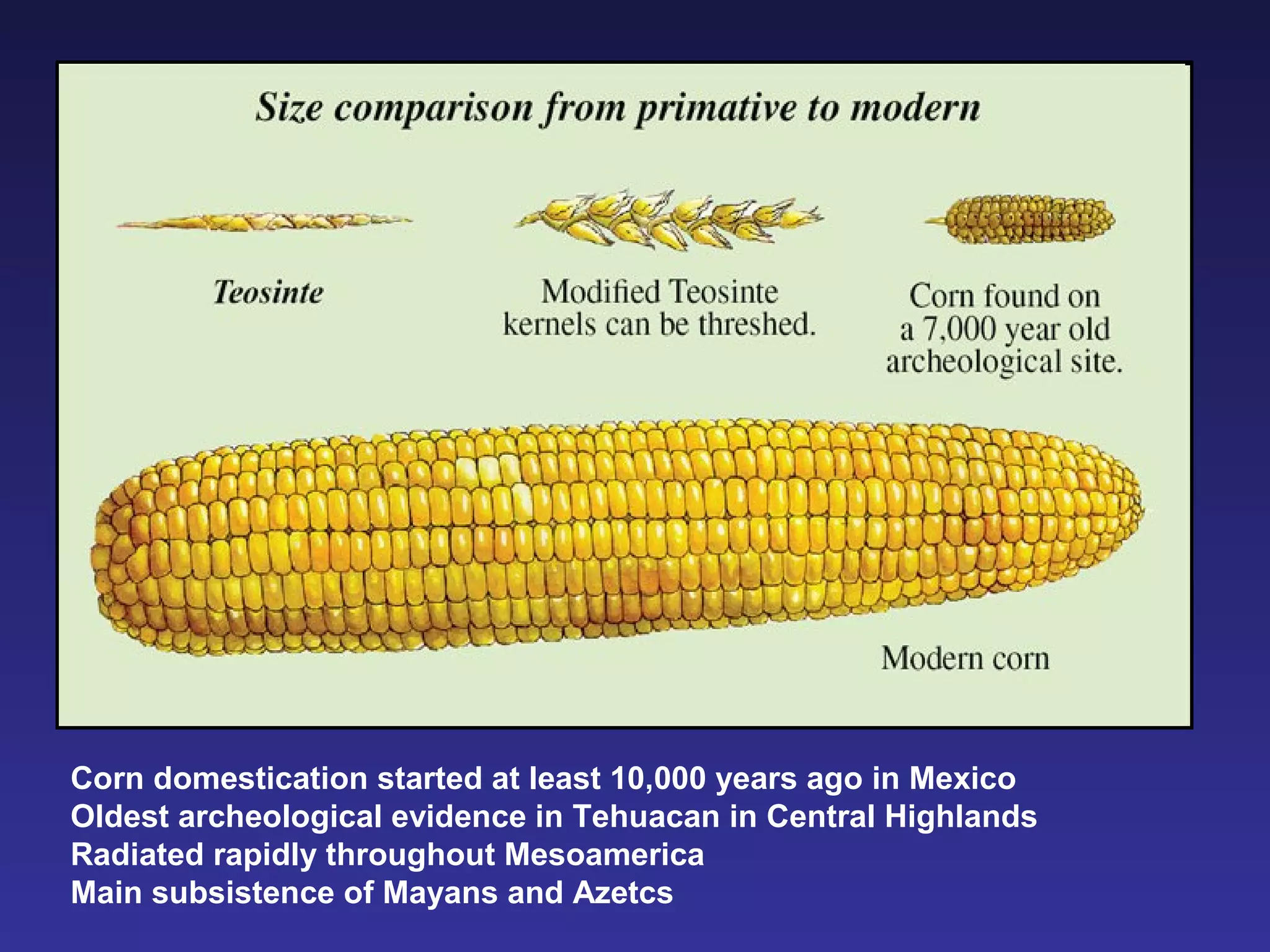Crop Domestication Lecture | PPT