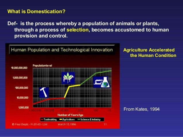 Crop Domestication Lecture