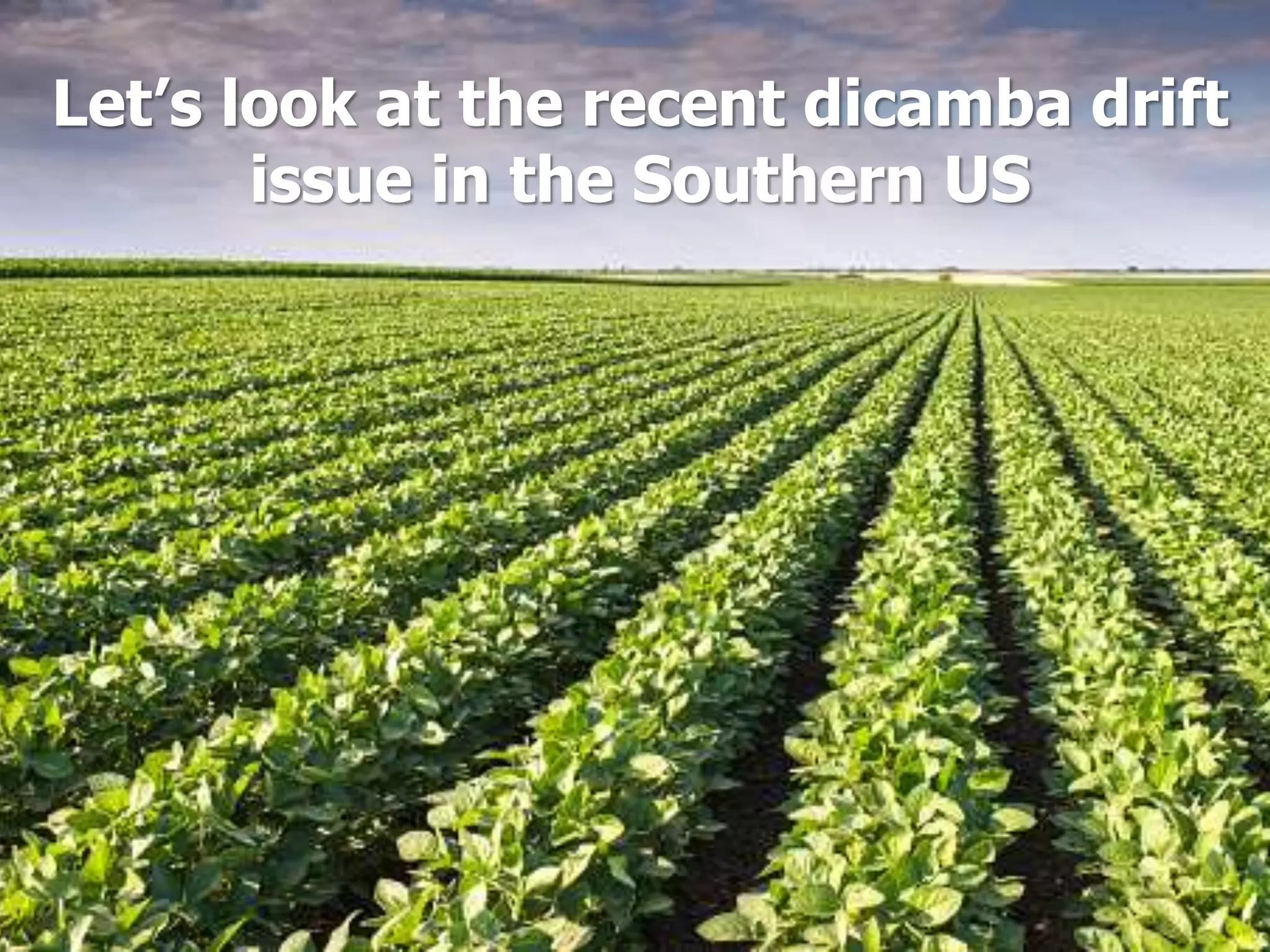 Dicamba in Canada - 2017 | PPT