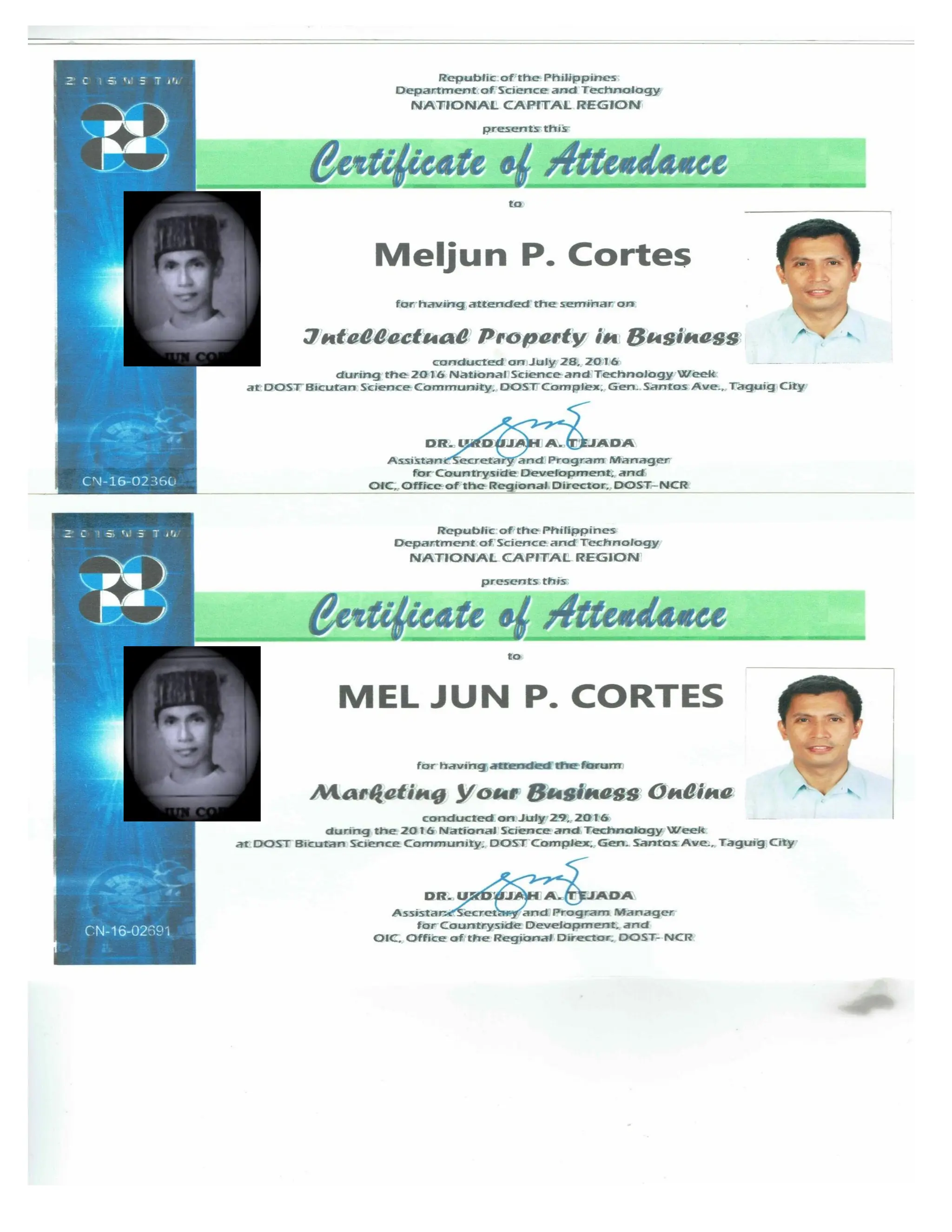 2016 DOST Certificate IP in Business and Marketing Business Online | PDF