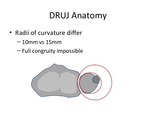 Οξεία Αστάθεια της Άπω Κερκιδωλενικής 016/ Acute DRUJ Instability 016