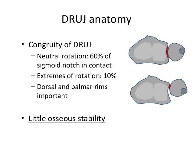 Οξεία Αστάθεια της Άπω Κερκιδωλενικής 016/ Acute DRUJ Instability 016