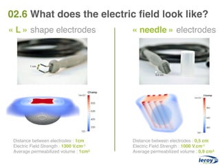 Electrochemotherapy : principles, sessions, case studies, and machines ...