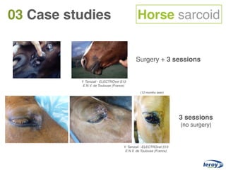 Electrochemotherapy : principles, sessions, case studies, and machines ...