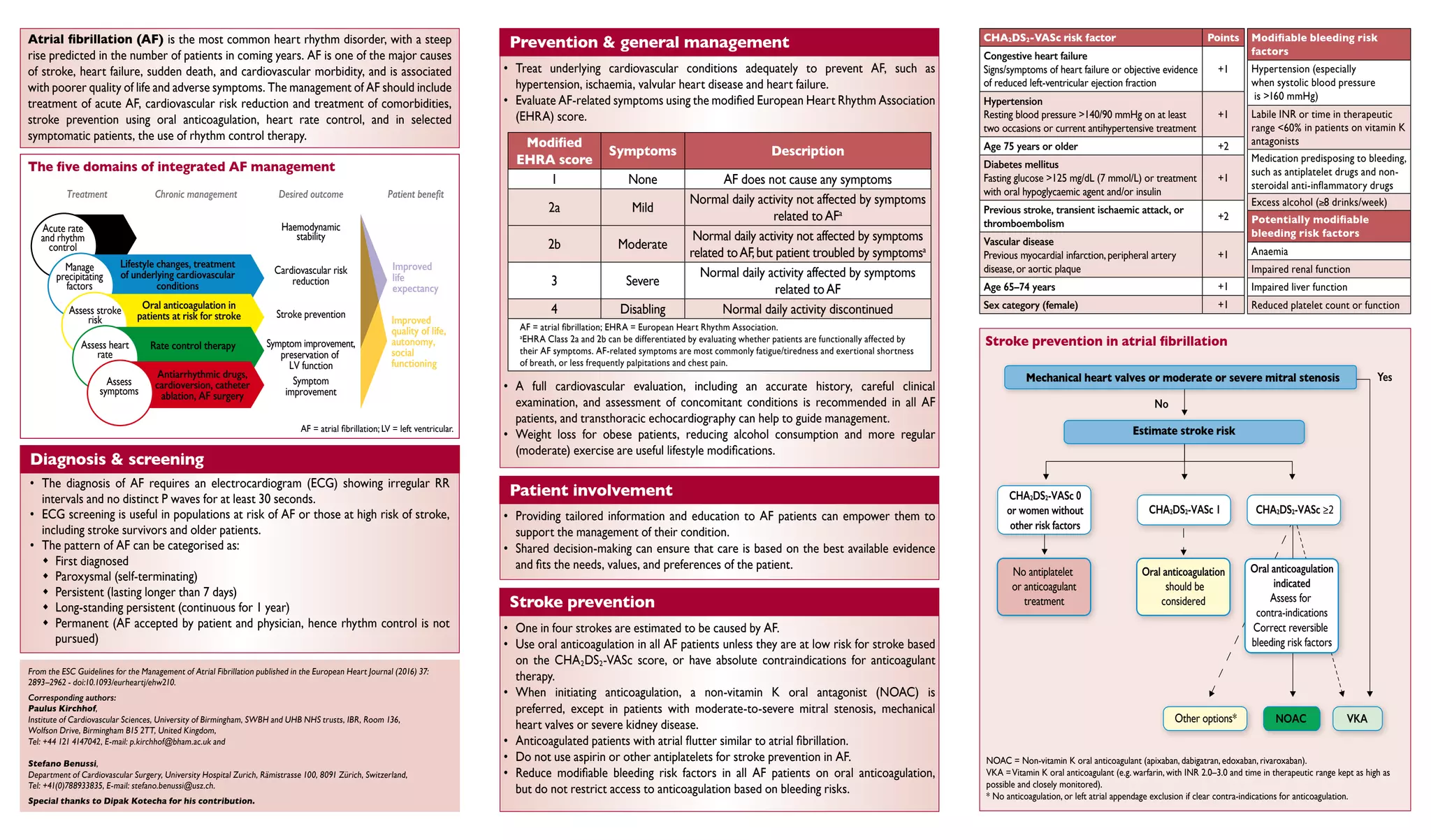 2016 ESC Guidelines Patient Leaflet Folder.pdf