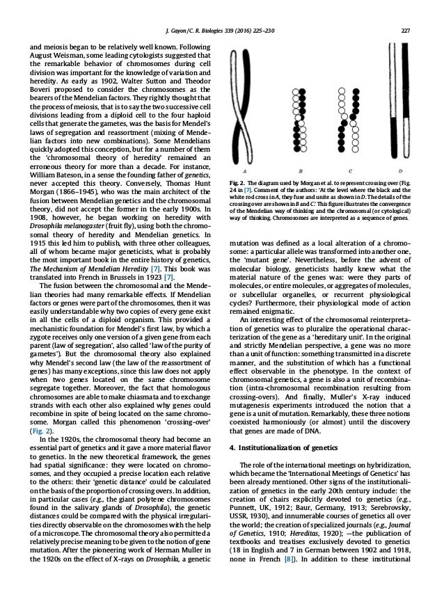 2016 From Mendel to epigenetics History of genetics.pdf