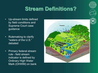 Wetland Law and Compliance | PDF