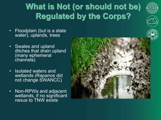 Wetland Law and Compliance | PDF