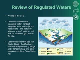 Wetland Law and Compliance | PDF