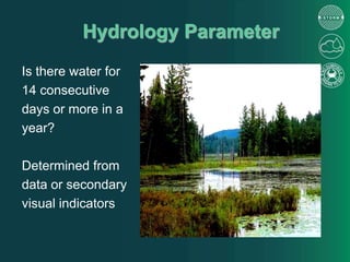 Wetland Law and Compliance | PDF