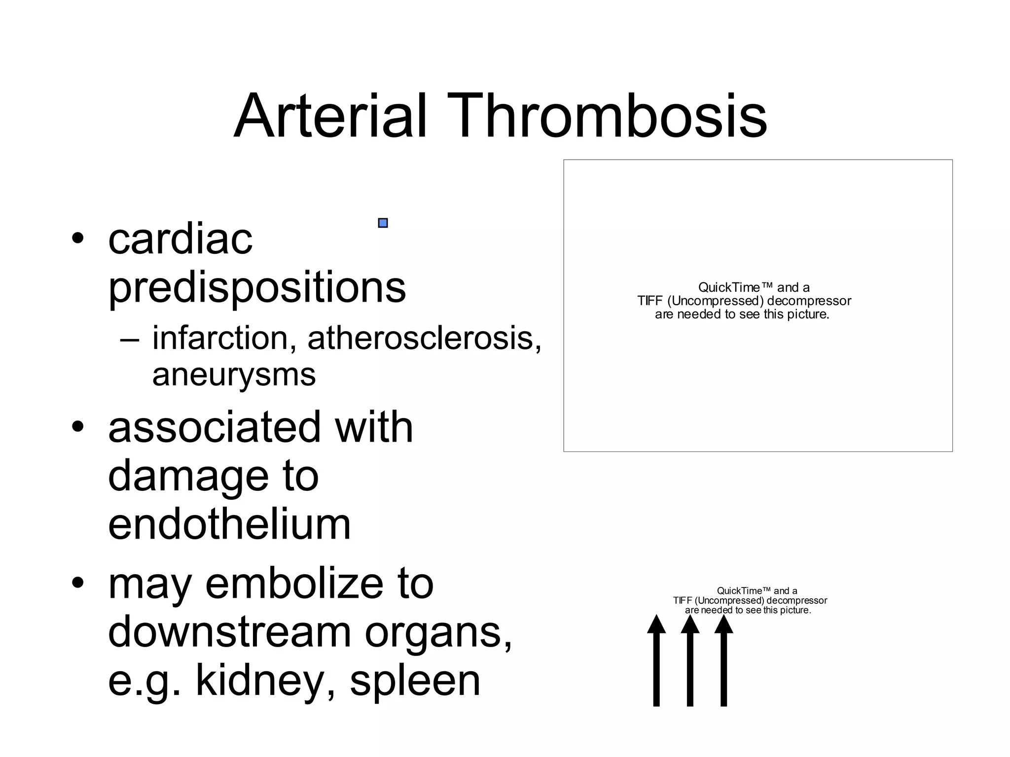 2016_Hemodynamics_AF_web.ppt