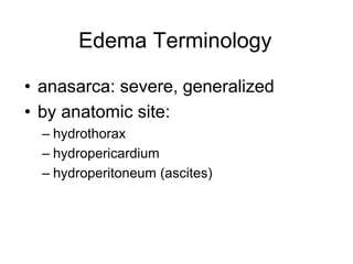 2016_Hemodynamics_AF_web.ppt
