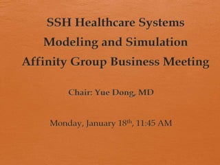 2016 SSH Healthcare Systems Modeling & Simulation Affinity Group Annual ...