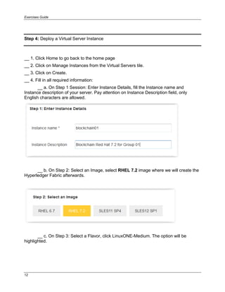 Lab Exercise: IBM Blockchain runs also on LinuxONE, see it in action! | PDF
